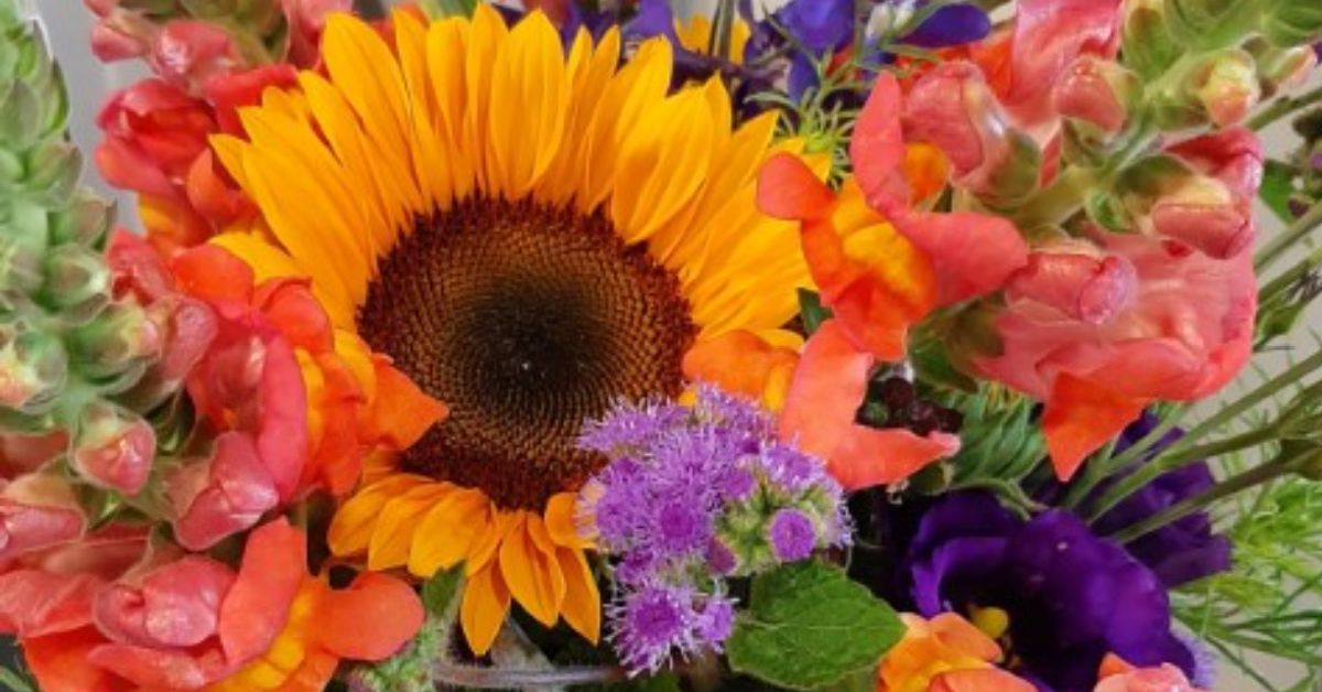 Welcome to the farm blog... – Summerfield Acres